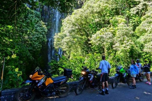 Motorcycle Adventure in Hana Rainforest with Stardust Hawaii